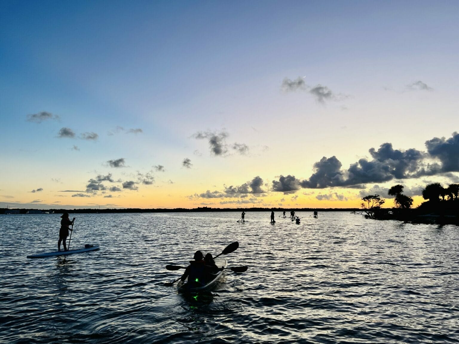 Bioluminescence Clear Paddle Tour | Epic Paddle Adventures