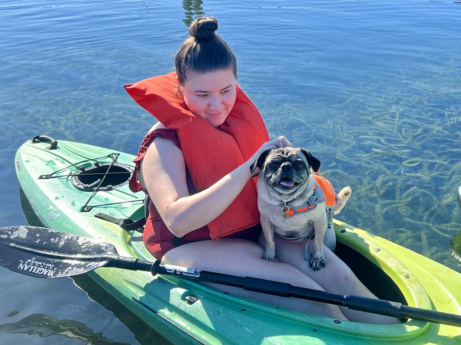 Clear Kayaking and Paddleboarding With Dogs Tour