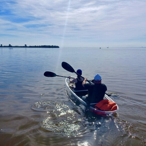 Dolphin Sunset Paddle Tour | Epic Paddle Adventures