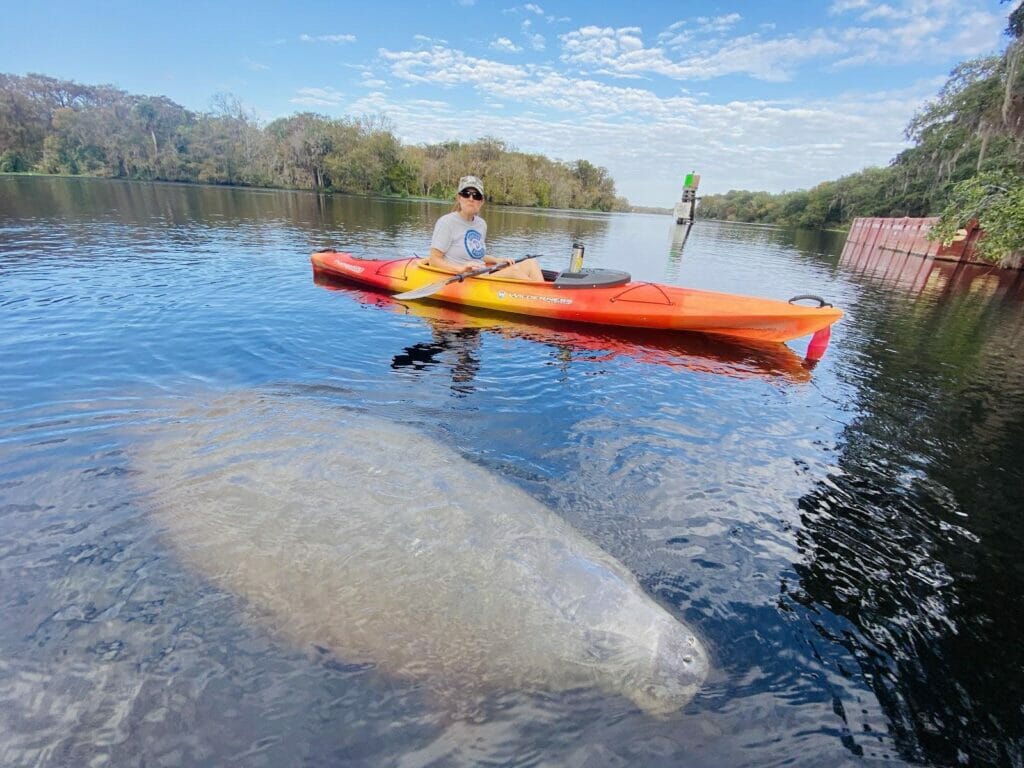 Epic Paddle Adventures: Kayaking with Manatees in Orlando | Epic Paddle ...