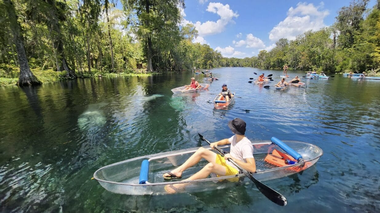Explore the Hidden Gems of Florida: Silver Springs State Park – The ...