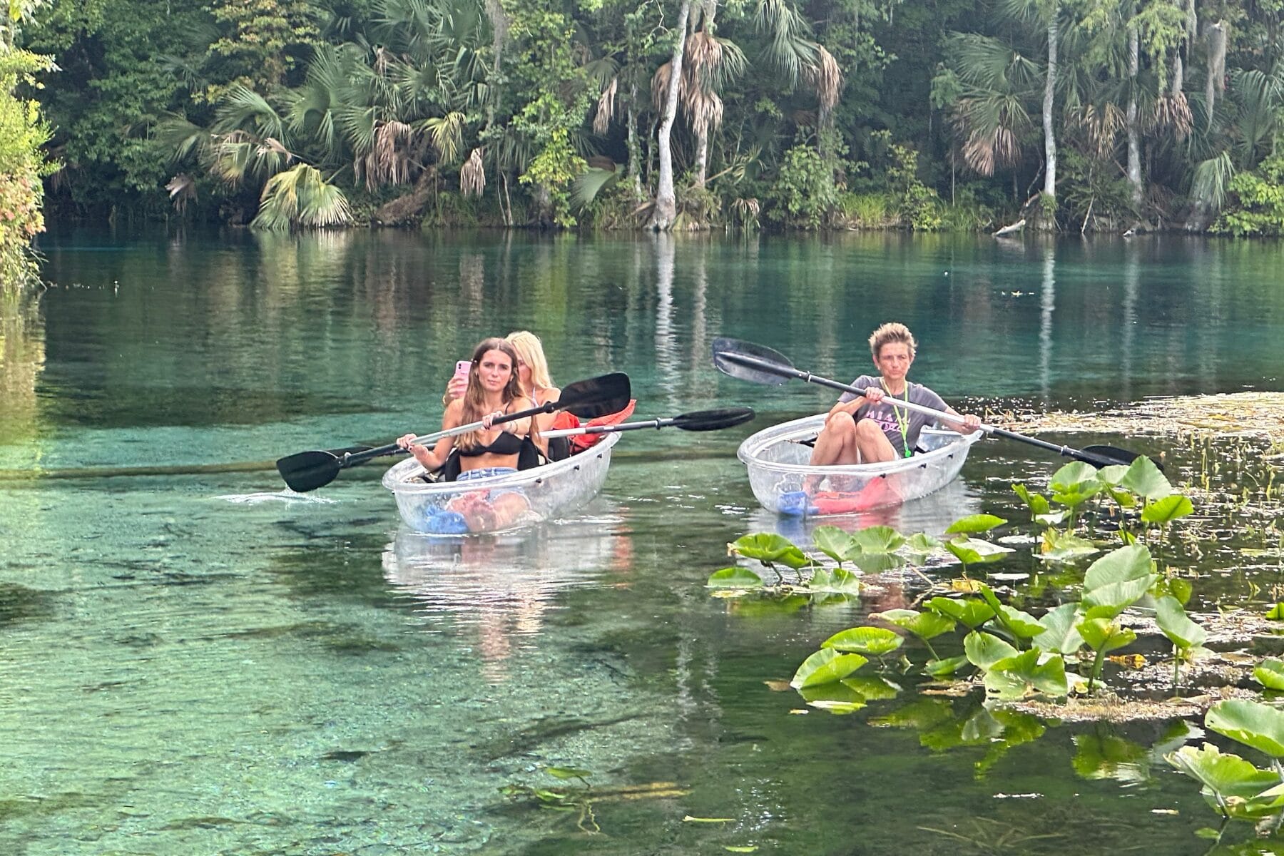 Silver Springs Wildlife Clear Paddleboarding & Clear Kayaking Tour