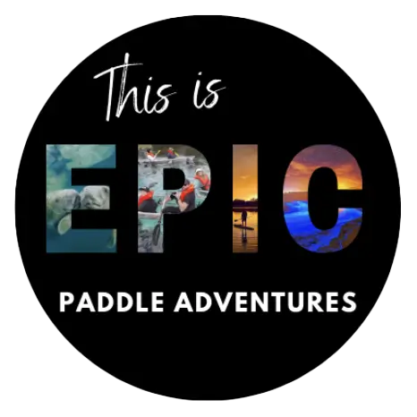 Epic Paddle Adventures: Kayaking with Manatees in Orlando | Epic Paddle ...